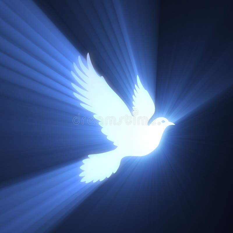 1,233,000+ Dove flying holy light flares Free Stock Photos ...