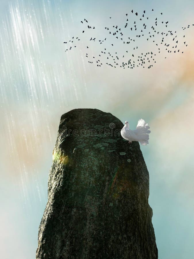 Dove in a cliff stock illustration. Illustration of colors - 7705527