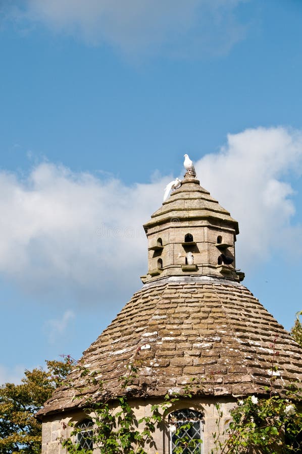 Dove Cot stock photo. Image of dove, blue, home, fluffy - 11286084