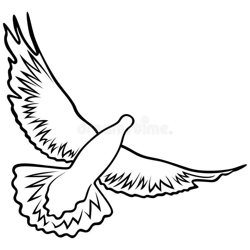 Dove Wings Drawing