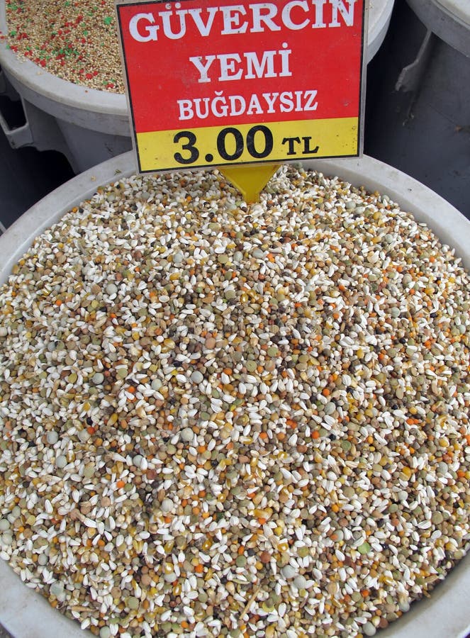 Dove food stock photo. Image of organic, bird, healthy - 22176524