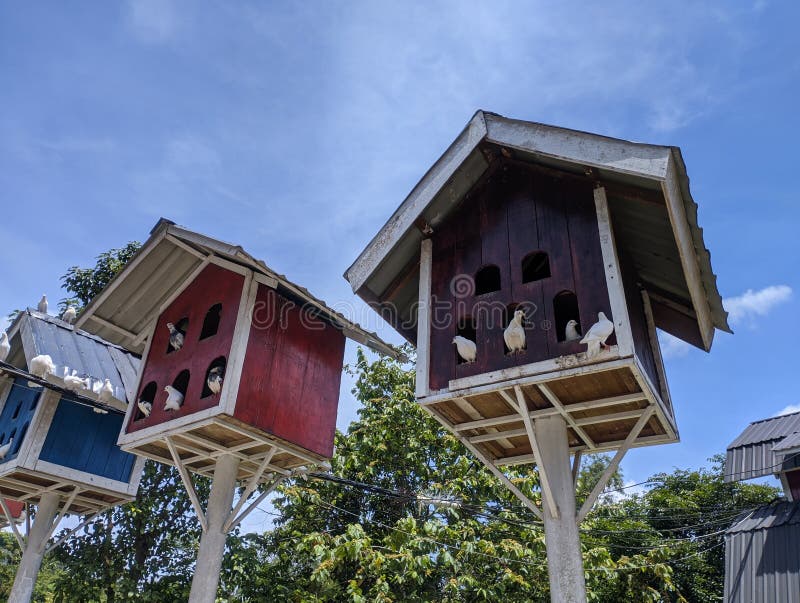 Dove House the Dove is Caged Up. Background: a Blue Sky Stock Photo ...