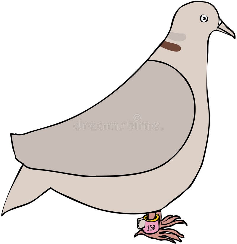 Dove memory stock vector. Illustration of vector, flash - 34601071