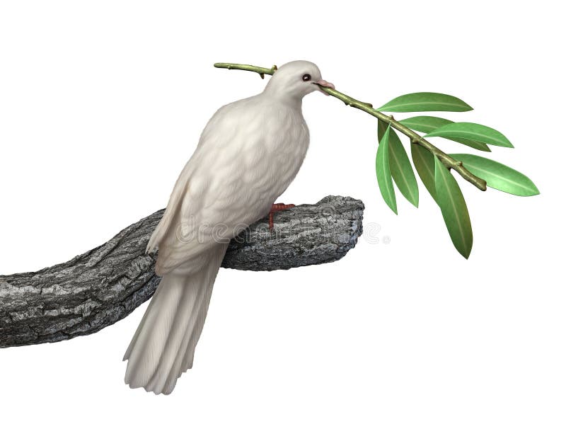 Dove And Olive Branch stock illustration. Illustration of peace - 28453721 Dove And Olive Branch stock illustration. Illustration of peace - 28453721