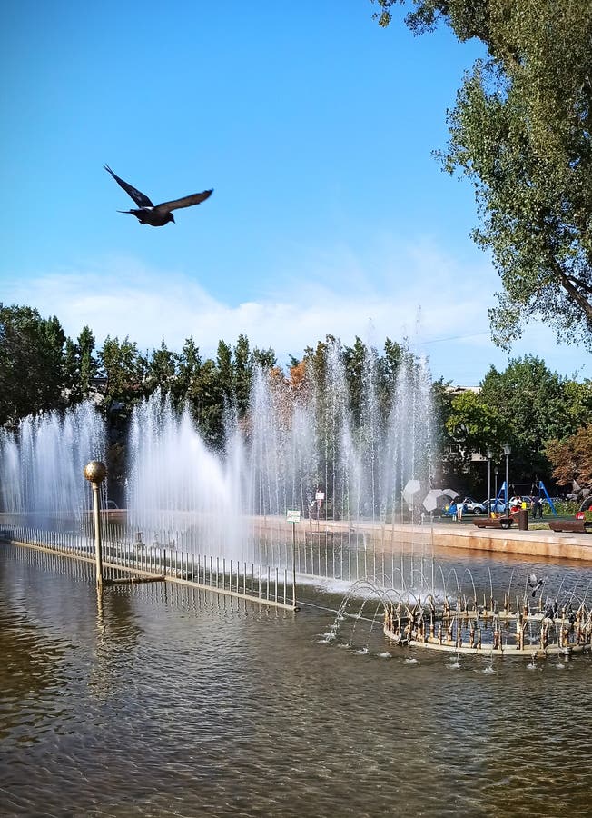 591 Dove Over Water Photos - Free & Royalty-Free Stock Photos from ...