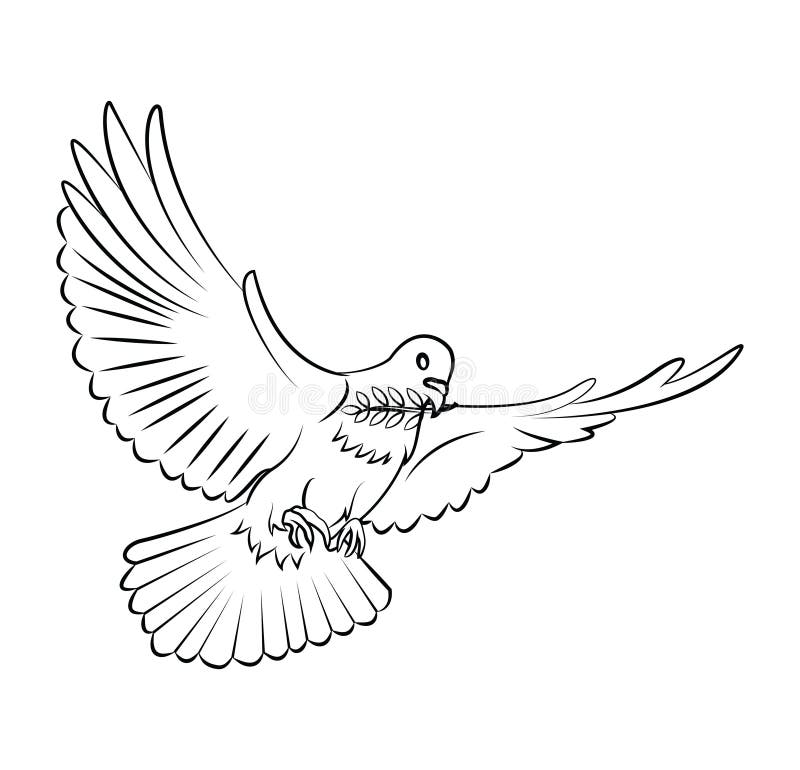 The Dove of Peace. a Symbol of Peace Stock Vector - Illustration of ...