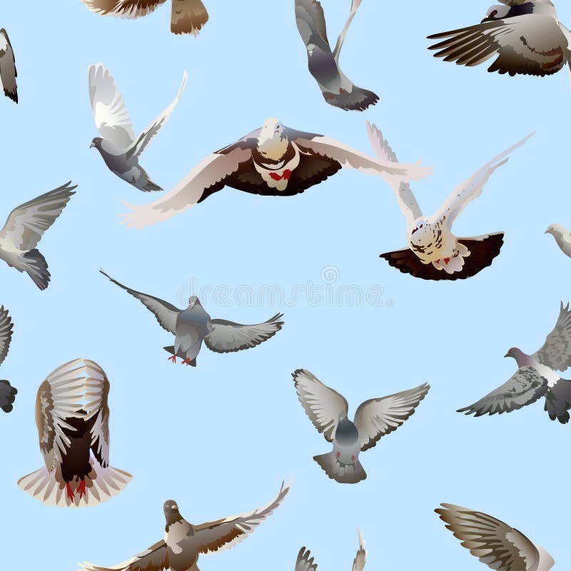 Dove stock illustration. Illustration of flying, wings - 34161994