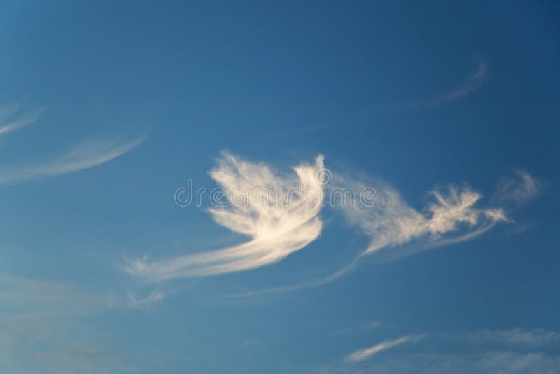 Dove-shaped cloud stock photo. Image of color, curve, doves - 2712766