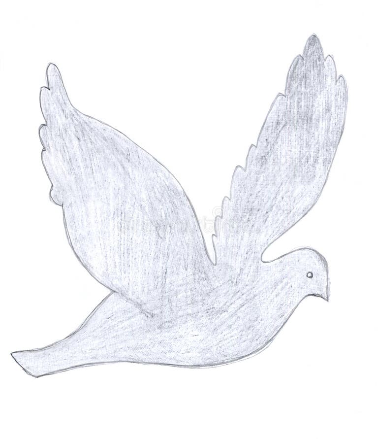 Dove Drawing Sketch Stock Illustrations – 9,629 Dove Drawing Sketch ...