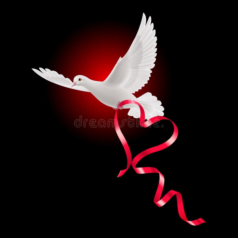 White dove with red ribbon stock vector. Illustration of graphic - 41496673