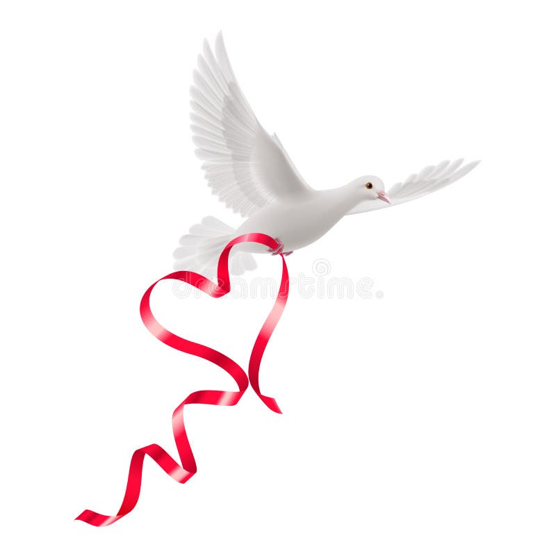 White Dove Red Ribbon Stock Illustrations – 274 White Dove Red Ribbon ...