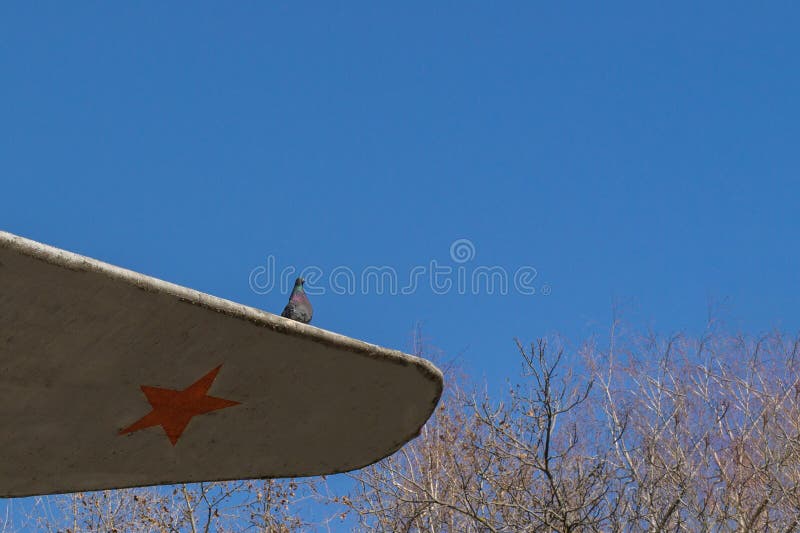 Dove on the Wing of a Military Soviet Aircraft with a Red Star Stock ...