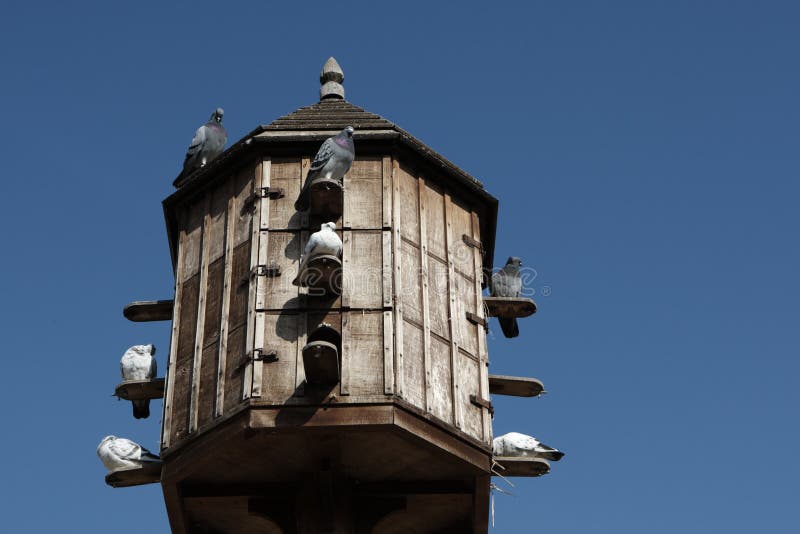 Dovecote stock photo. Image of avian, dove, house, dovecote - 964636
