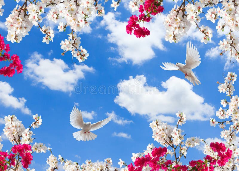 Two doves flying stock photo. Image of feather, symbol - 8877996