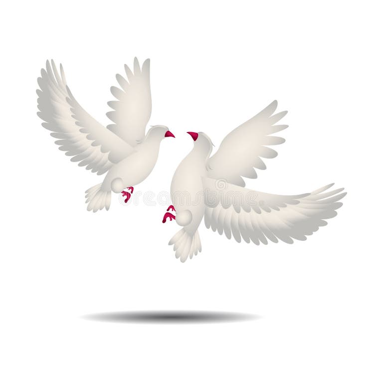 Doves. Vector Illustration Decorative Design Stock Vector ...