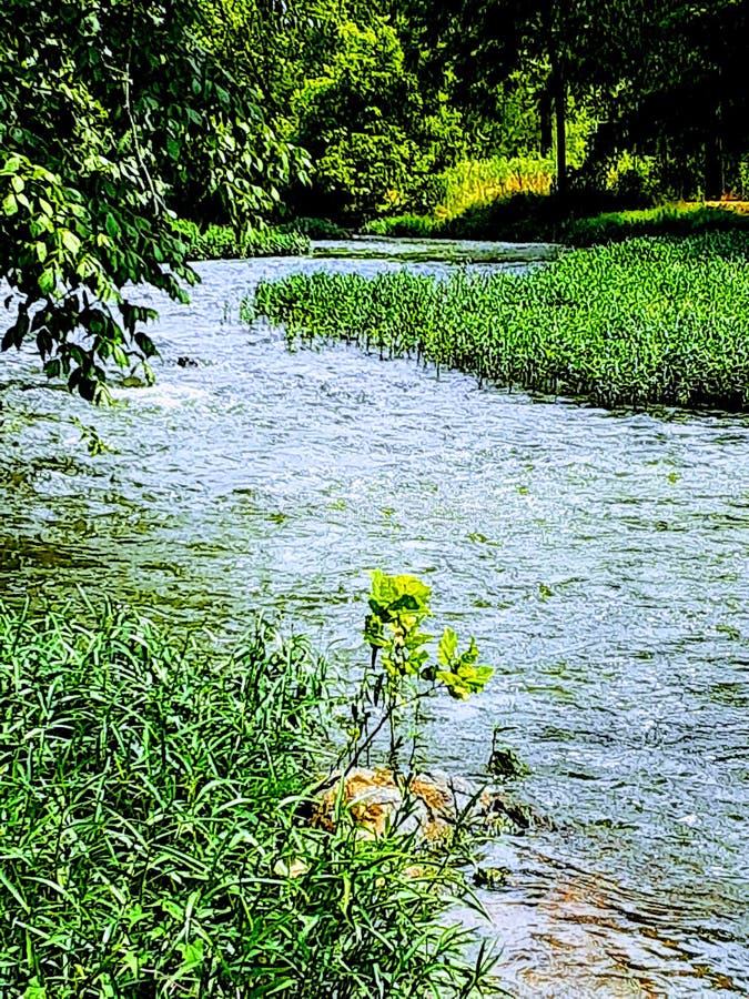 Down Around the Bend stock photo. Image of flower, forest - 255405614