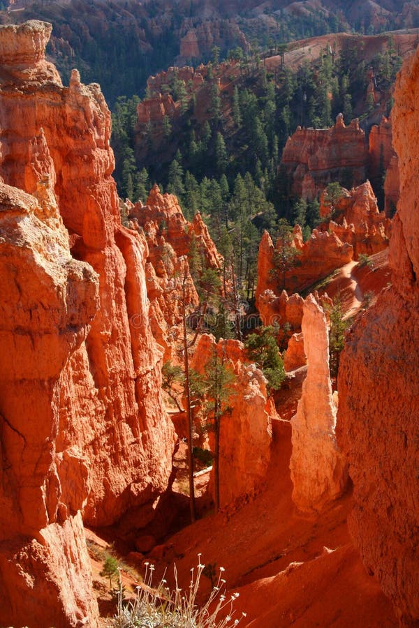 Down into Bryce stock image. Image of desert, bryce, national - 344007