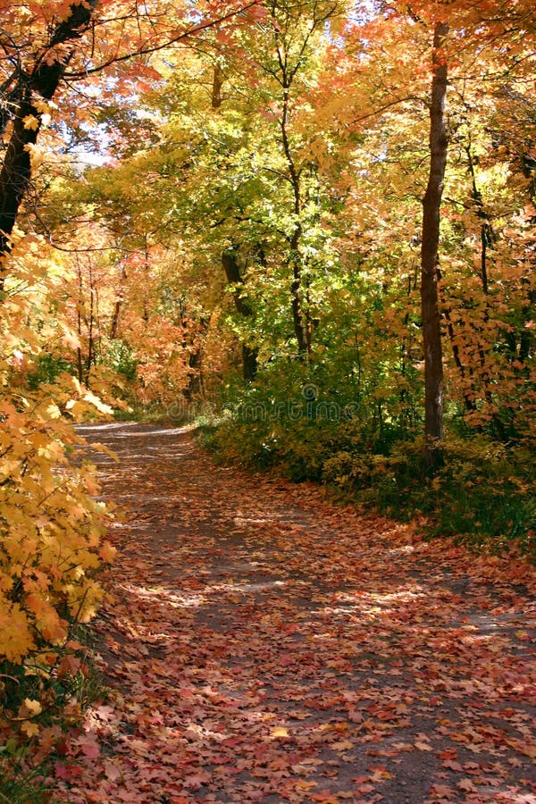 Down the Fall Path stock photo. Image of hike, color, earth - 271588