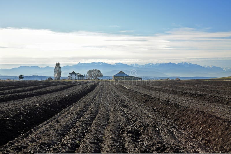 Down on the Farm stock photo. Image of plowed, snow, rural - 12481780