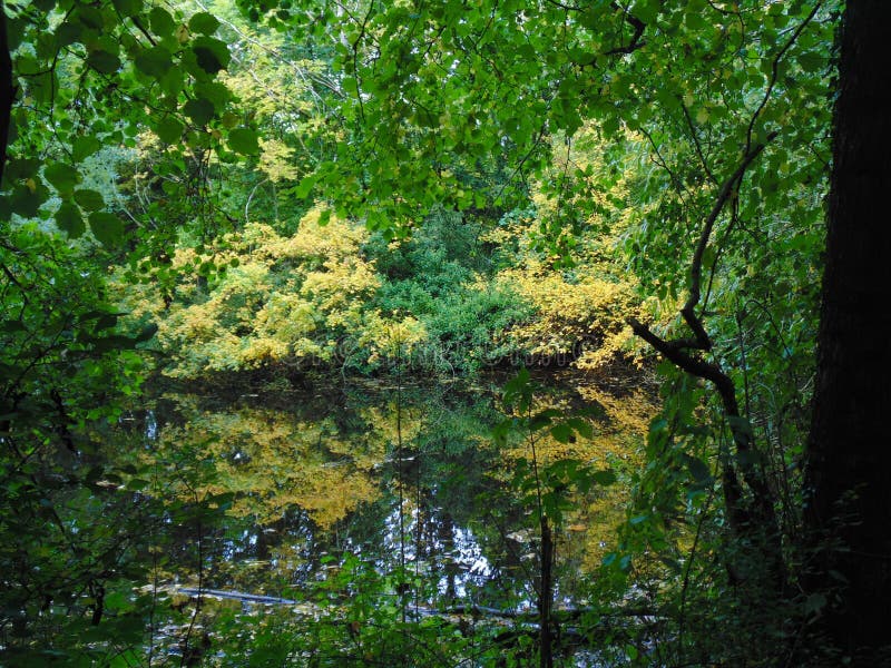 Down by the riverside stock photo. Image of eerie, waterside - 100351268