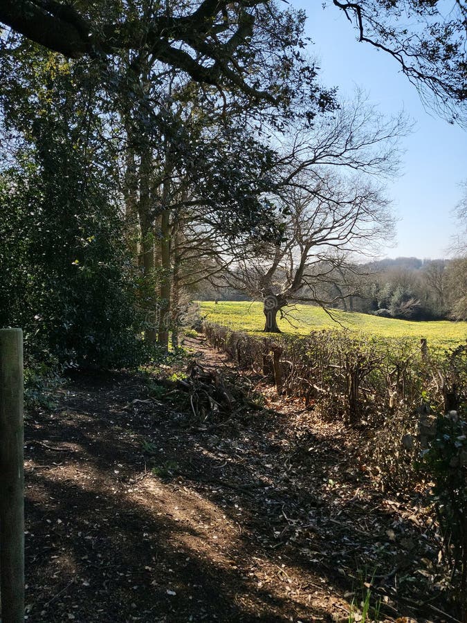 Shadypath Stock Photos - Free & Royalty-Free Stock Photos from Dreamstime