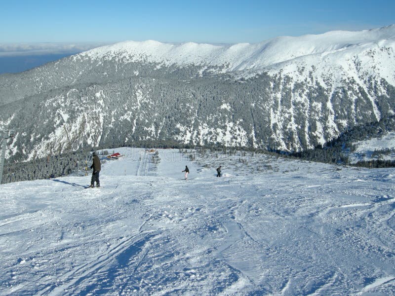 Down the Slope stock photo. Image of blue, nature, trees - 4600526