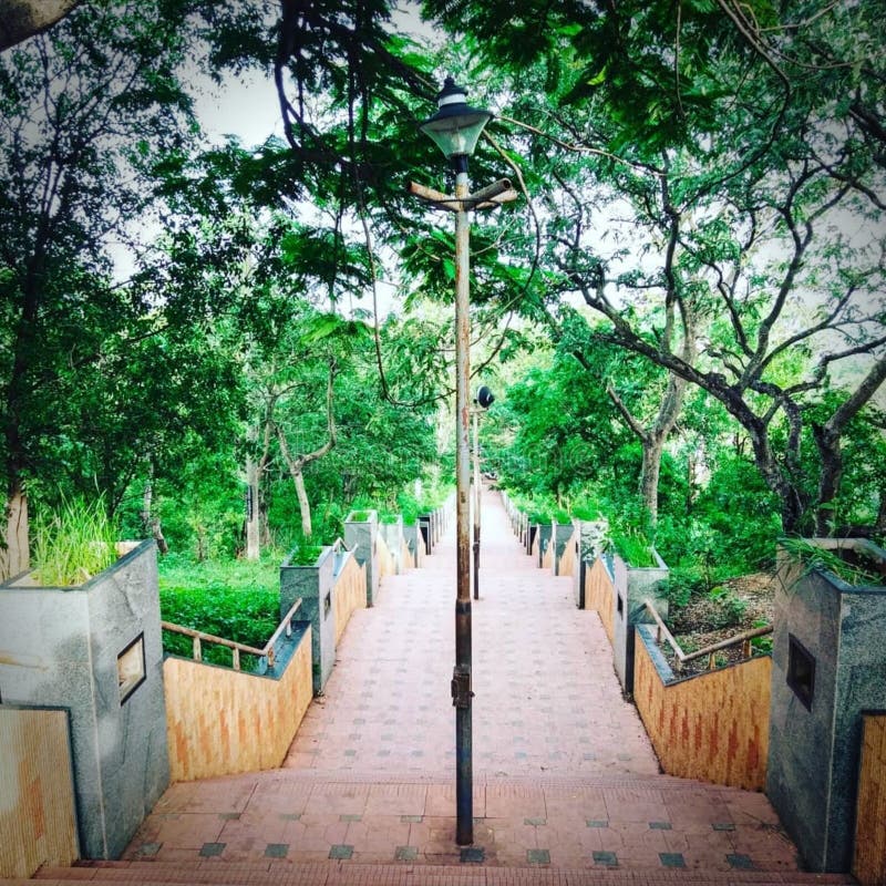 Down Steps Green Trees with a Road Lamp Stock Image - Image of steps ...