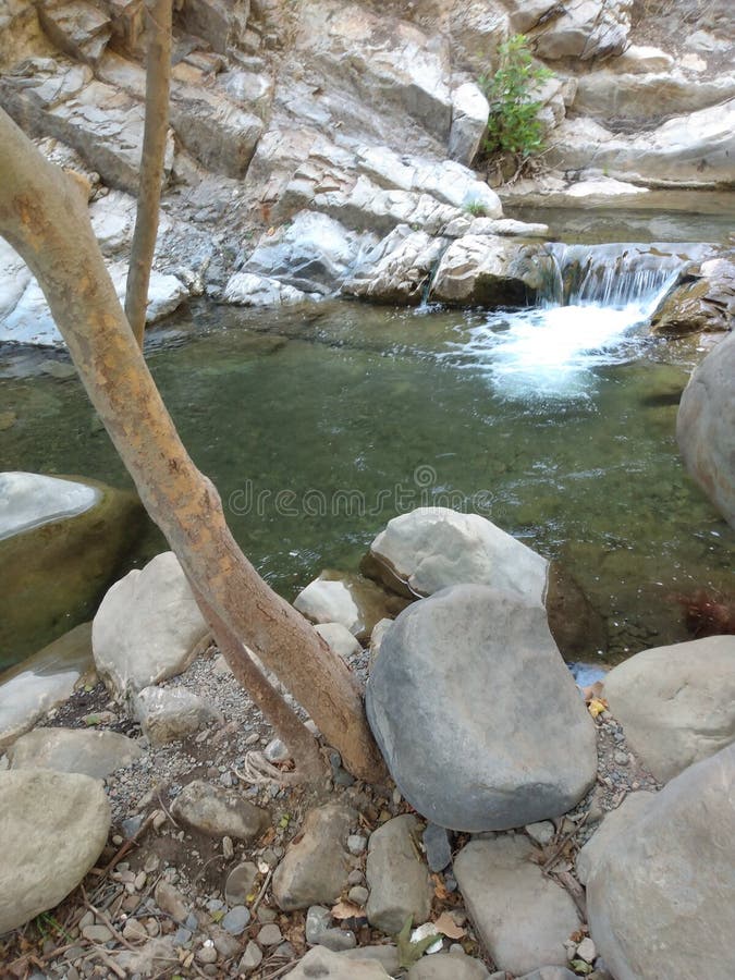 Down by the stream stock photo. Image of nature, watercourse - 214975816