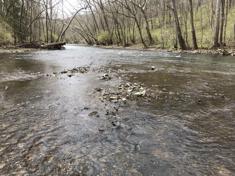 Down stream shot stock photo. Image of stream, shot - 120660476