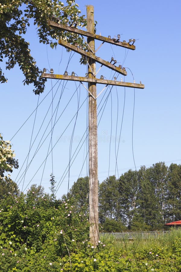 Downed Power Lines stock photo. Image of loosened, string - 24988666