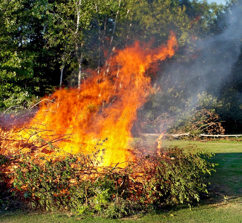 Downed trees on fire stock image. Image of heat, engulf - 16043445
