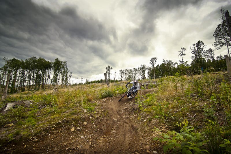 Downhill mountainbiker stock image. Image of green, tracks - 53719915