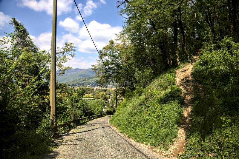 The Way To Success is Paved with Coffee. a Young Businessman Drinking ...