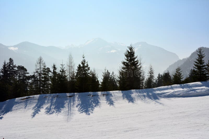 The Downhill Skiing Track Against the Background of Trees and Mountains ...