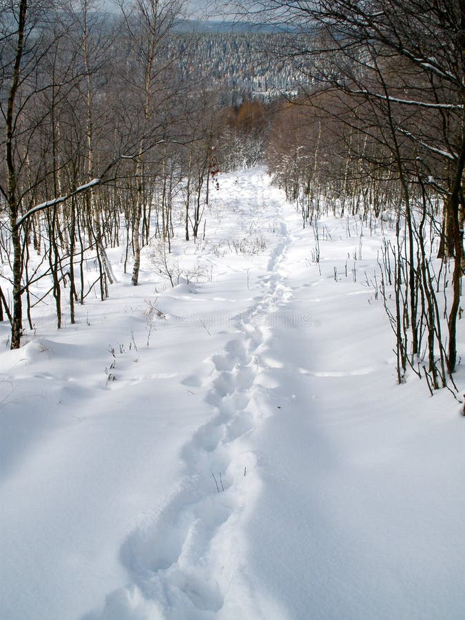 Downhill Snow Slope stock photo. Image of christmas, freeze - 28031086