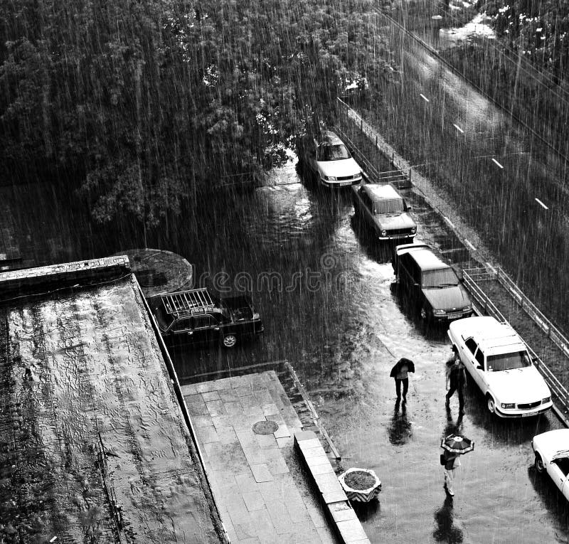 After the downpour stock photo. Image of summer, splash - 77400886