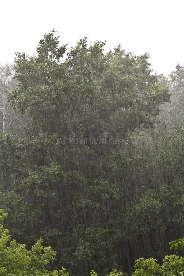 Downpour stock photo. Image of downpour, weather, water - 32850920