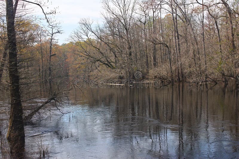 A Downstream View Along the Lumber River Stock Image - Image of nature ...