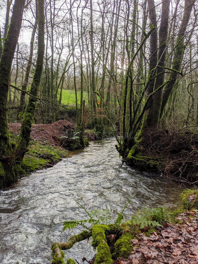 Downstream winter 1 stock photo. Image of cold, green - 171962098