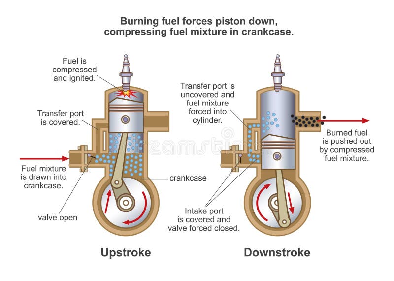 Downstroke do Upstroke ilustração do vetor. Ilustração de pelotas ...