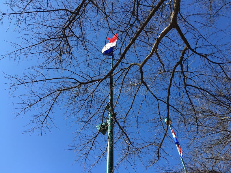 Downtown Atlanta Centennial Olympic Park Tree and Flags Stock Photo ...