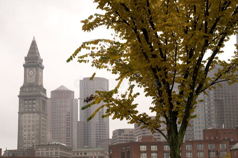 Downtown Boston during the Fall Stock Image - Image of overcast ...