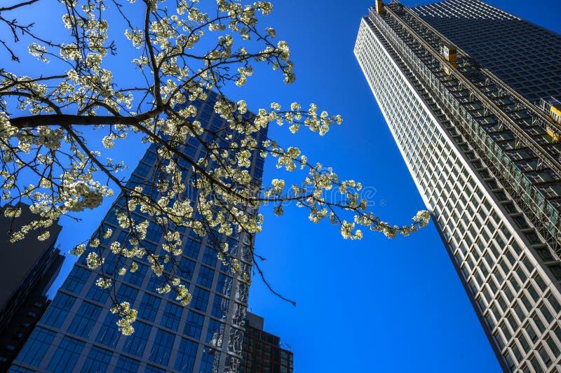 Downtown Brooklyn stock image. Image of downtown, kings - 373889051