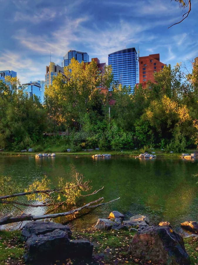 Downtown Calgary Buildings Behind Trees Stock Photo - Image of travel ...