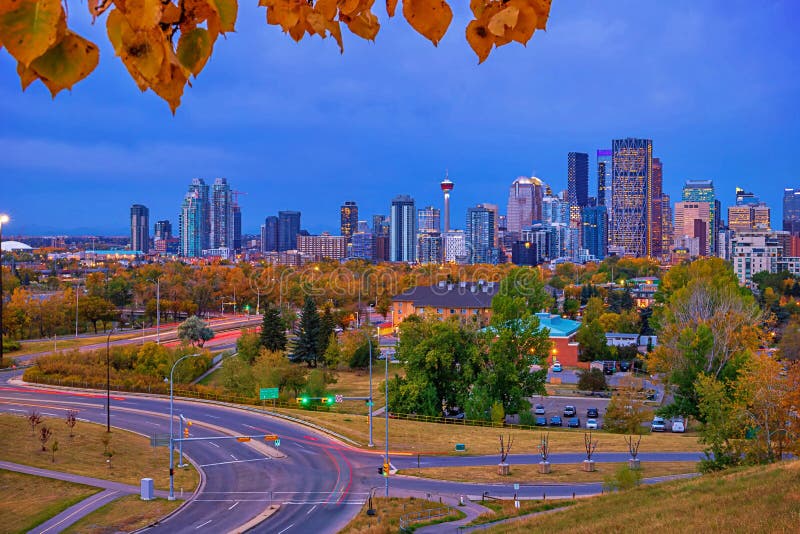 Downtown Calgary Framed by Autumn Leaves Stock Photo - Image of ...
