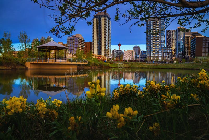 Downtown Calgary Framed by Spring Flowers Stock Image - Image of framed ...