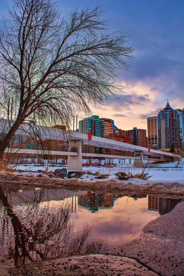 Downtown Calgary Reflected in a Puddle Stock Photo - Image of reflected ...
