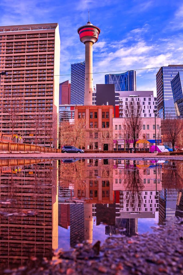 Downtown Calgary Reflecting in a Puddle Stock Photo - Image of outdoors ...