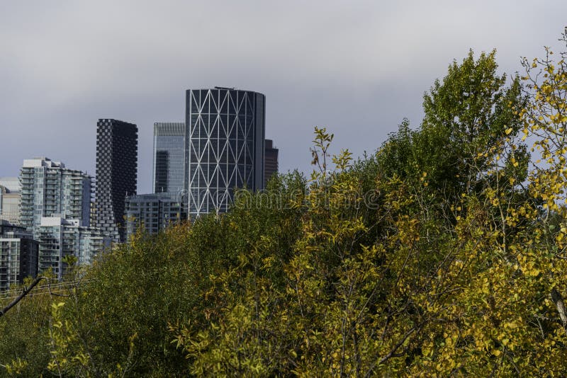 Downtown City Skyline with Fall Trees in Foreground Editorial ...