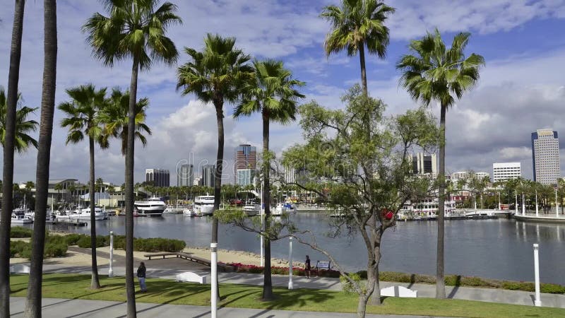 Long Beach (Los Angeles), California: View of Downtown Long Beach Metro ...